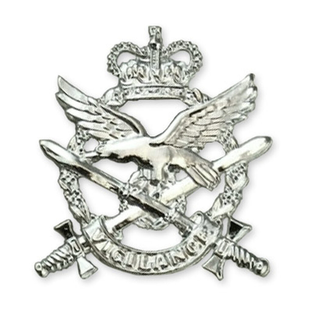 AAAvn Hat Badge – ADF Memorabilia